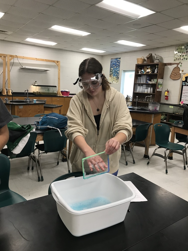 Fun in Biology! | Seminole County Middle High School